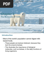 LDH Purification Lab Report | PDF | Protein Purification | Lactate ...