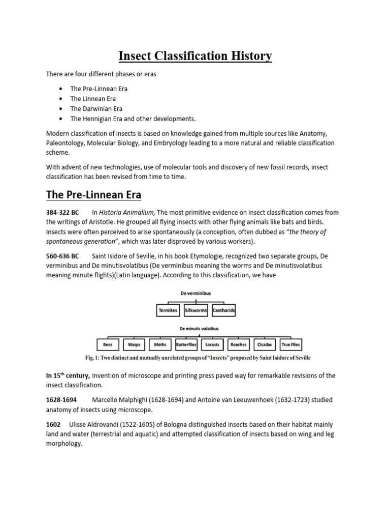 History Of Insect Classification Pdf Insects Taxonomy Biology