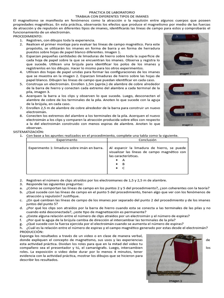 Experimentos con Imanes y Electroimanes | PDF | Imán | Magnetismo