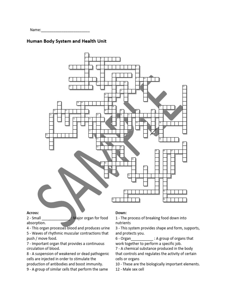 Human Body Systems Crossword Puzzle | PDF | Human Body | Digestion