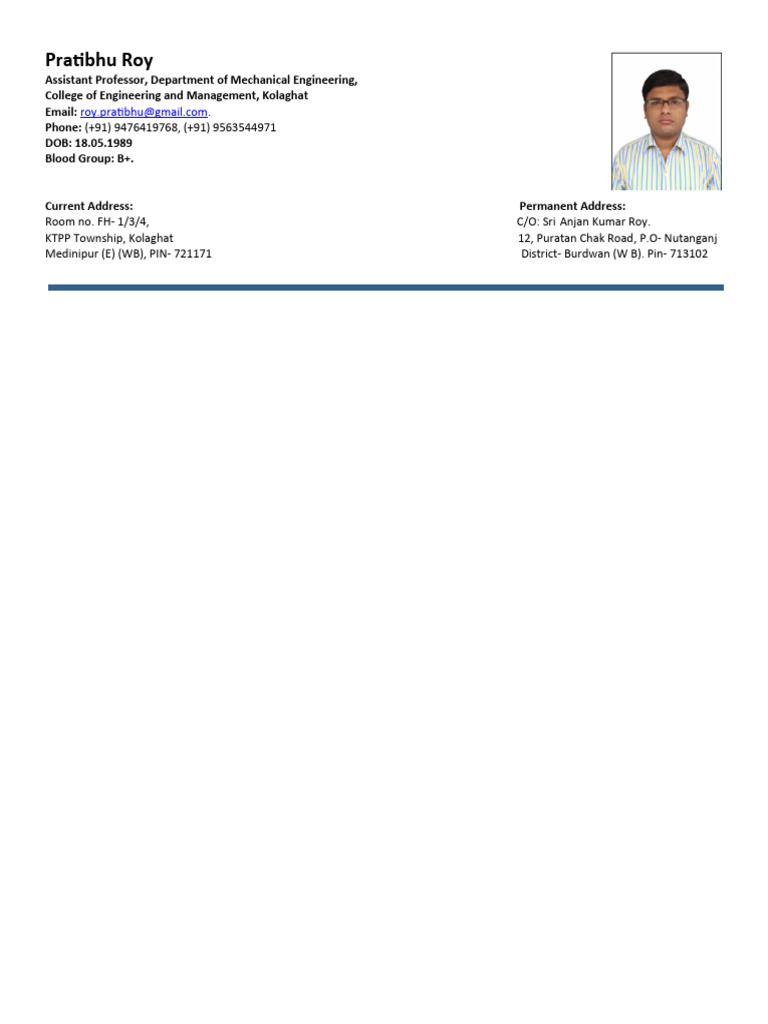 Pratibhu Roy - CV Updated - FINAL | PDF | Engines | Physical Sciences