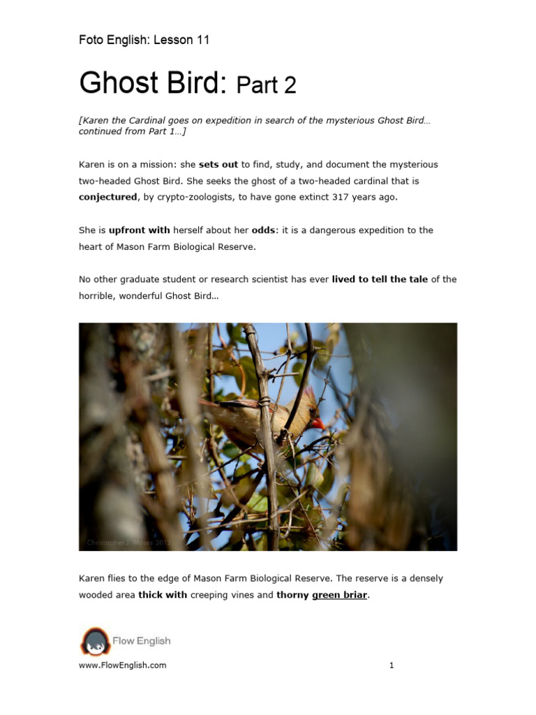 Ghost Bird Part 2 | PDF