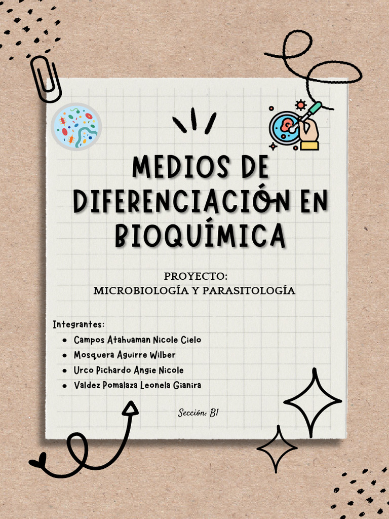 Micro Primer Trabajo | PDF