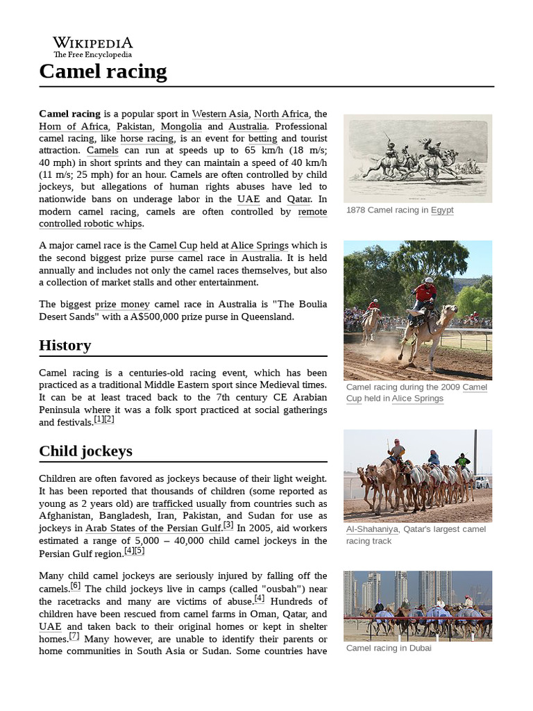 Camel Racing | Download Free PDF | Animal Racing | Arab World
