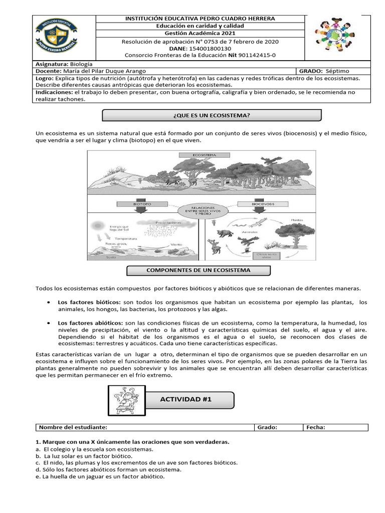 Actividades sobre Ecosistemas para Séptimo | PDF | Ecosistema | Red ...