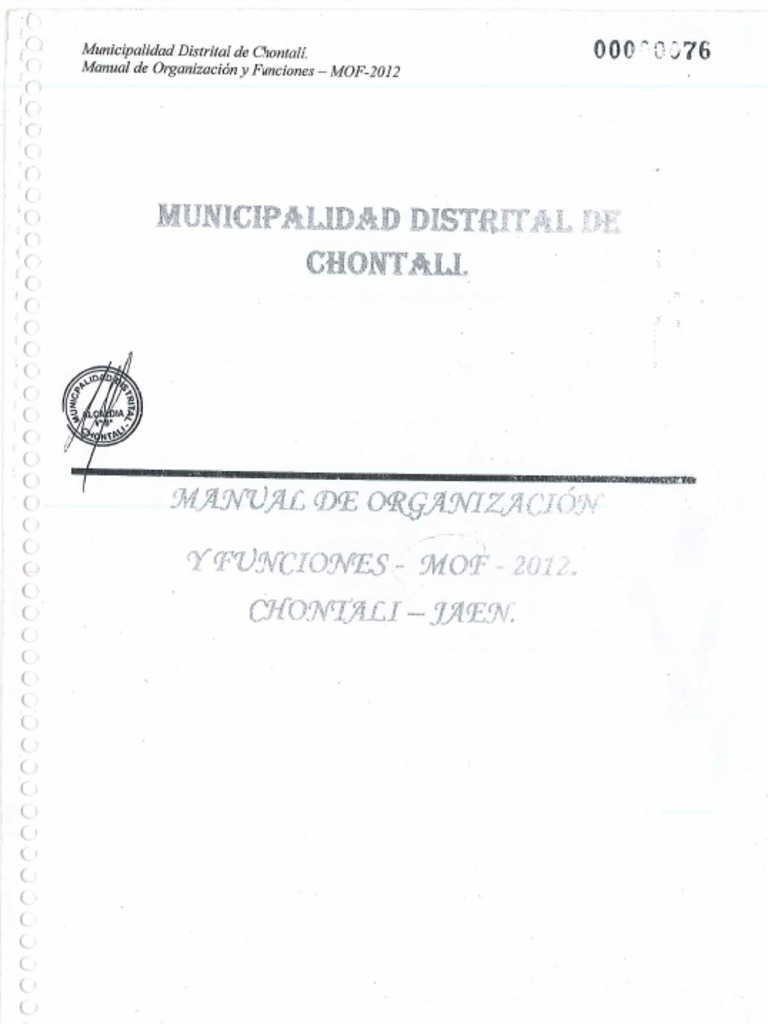 Mof - Manual de Organizacion y Funciones | PDF