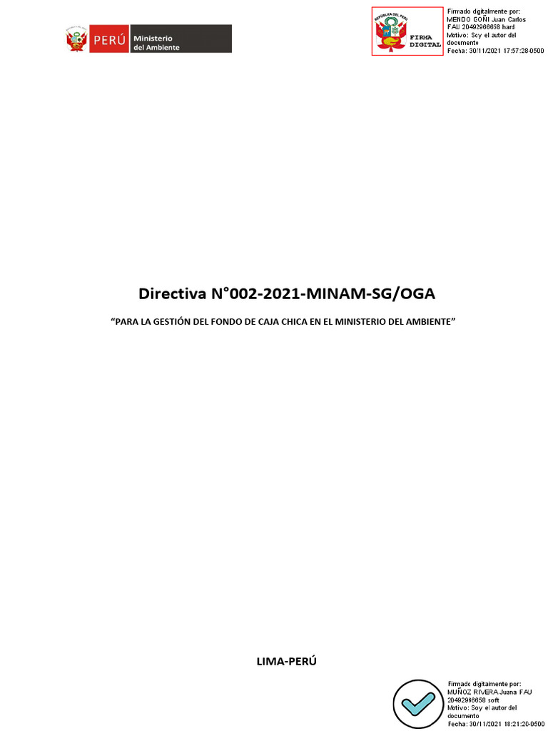 Directiva N. 002 - 2021 - Caja Chica | PDF | Presupuesto | Economias