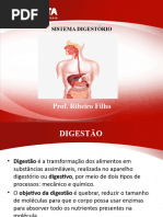 Quimo e Quilo | PDF | Digestão | Estômago