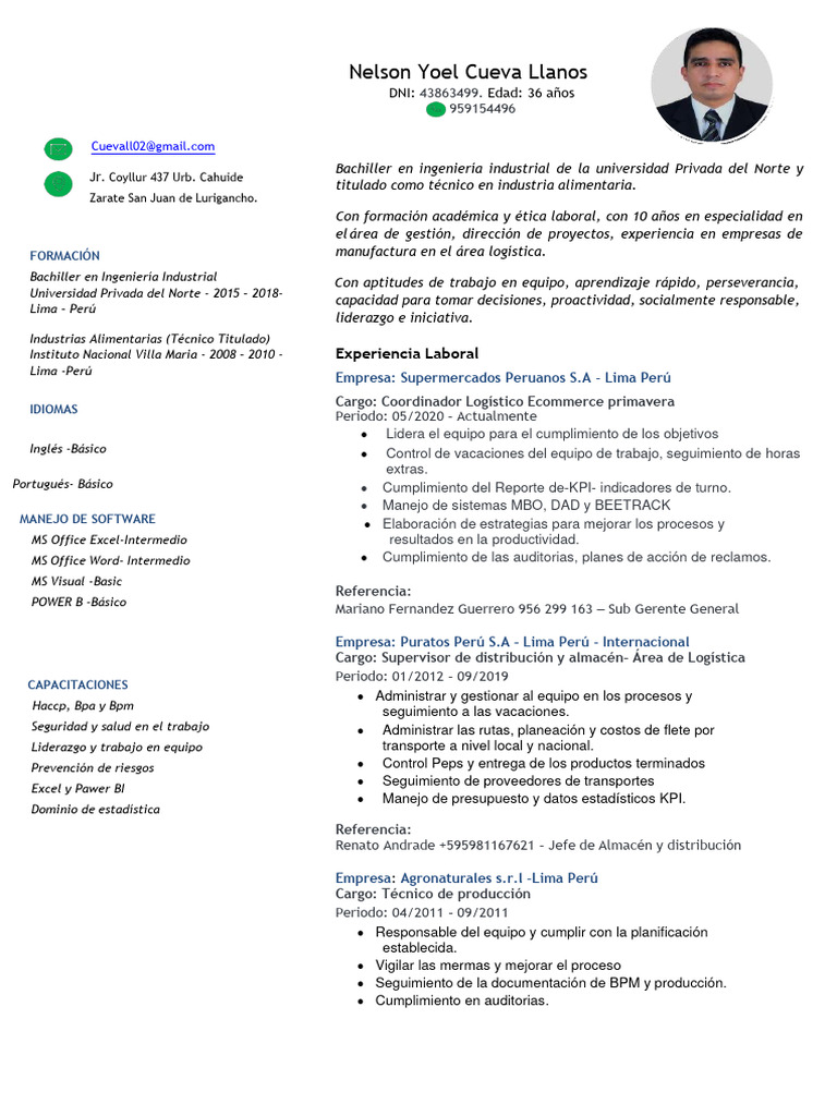 CV-Nelson Cueva Llanos | PDF