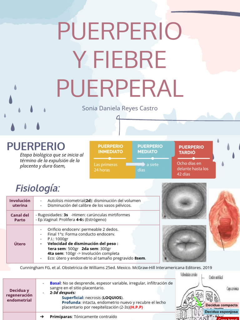 Puerperio y Fiebre Puerperal: Guía Completa | PDF