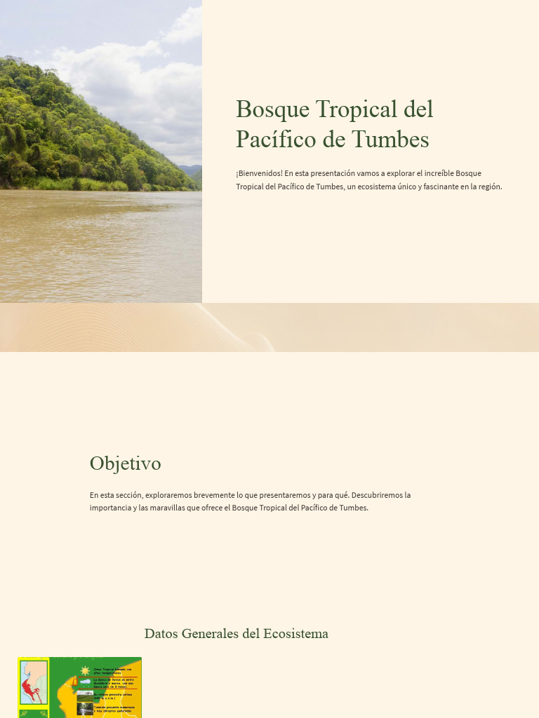 Bosque Tropical Del Pacifico de Tumbes | PDF
