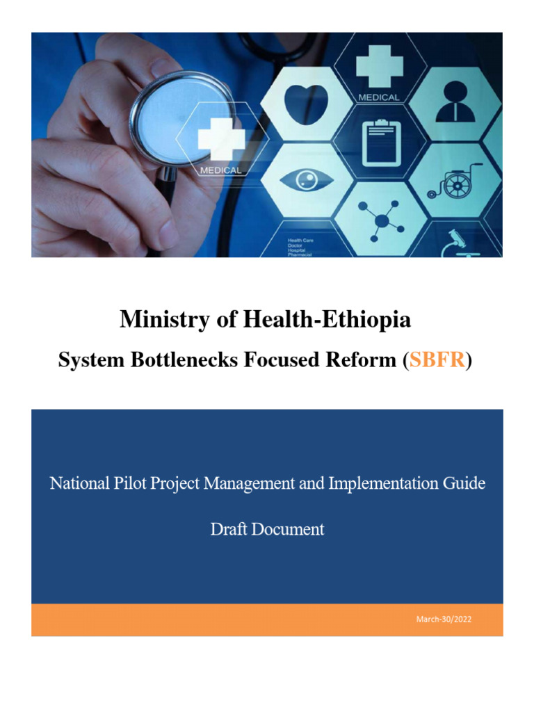 SBFR Project Document March | PDF | Nursing | Health Care