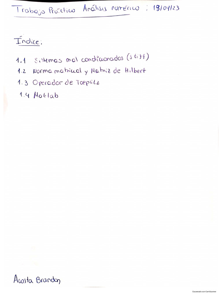 TP Acosta Brandon | PDF