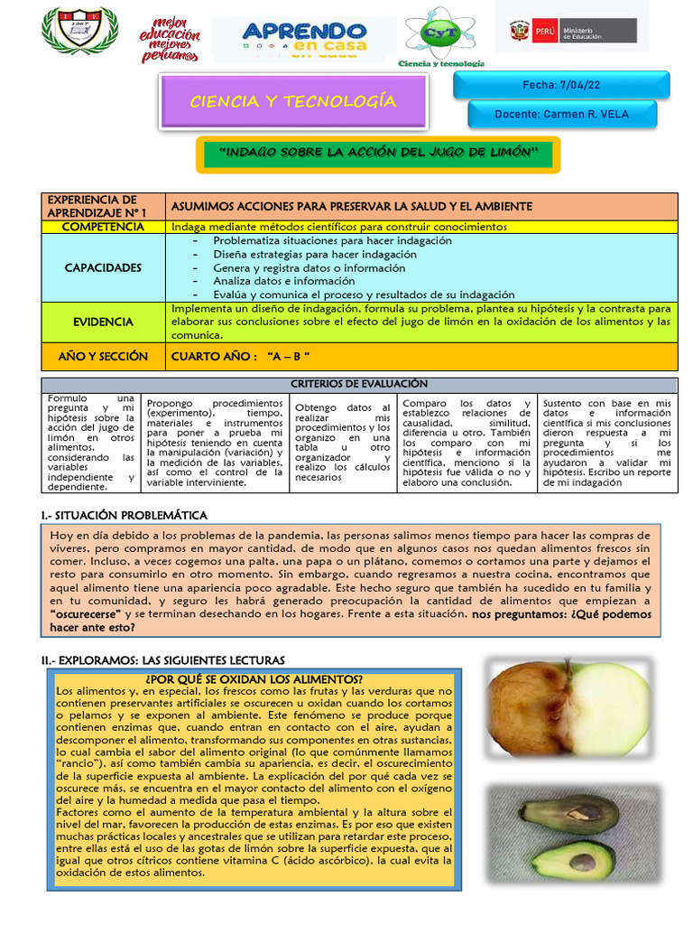 Guía de Activ. 4 Año - Oxidac. Alimentos | PDF | Antioxidante | Vitamina C