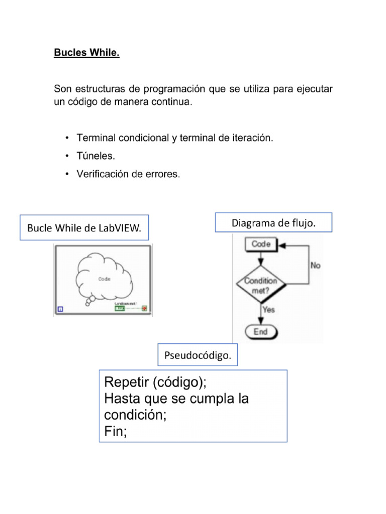 Estructura While Pdf