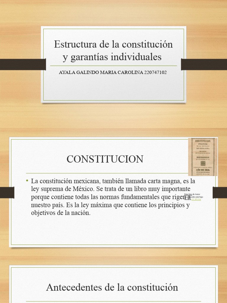 Estructura de La Constitucion y Garantias Individuales | PDF ...