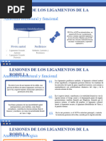 GPM Fo 13 Test de Linda Fried | PDF | Índice de masa corporal