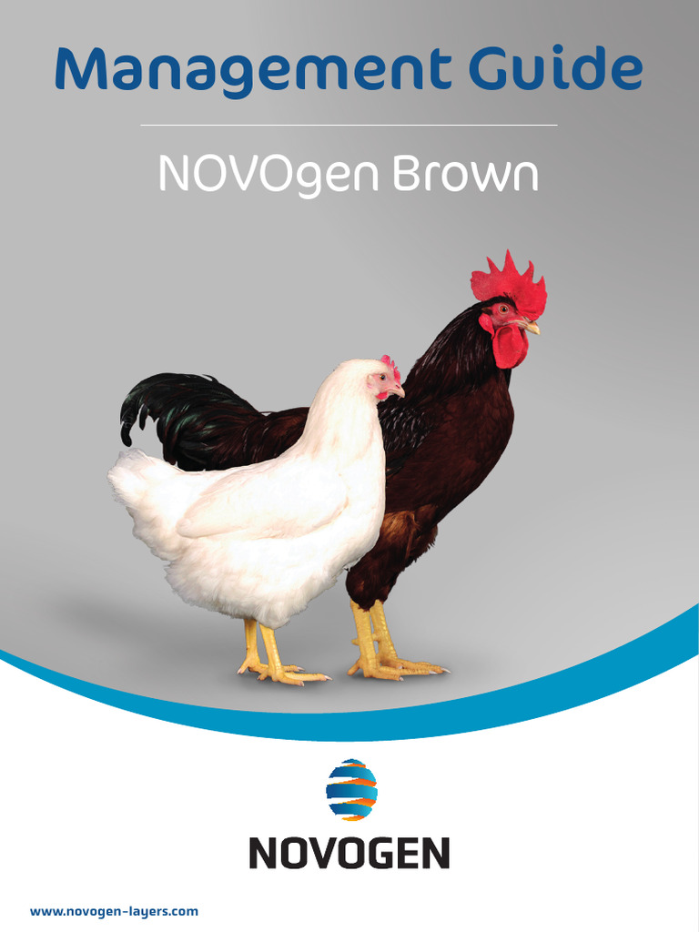 NOVOgen Brown Management Guide | PDF | Chicken | Birds