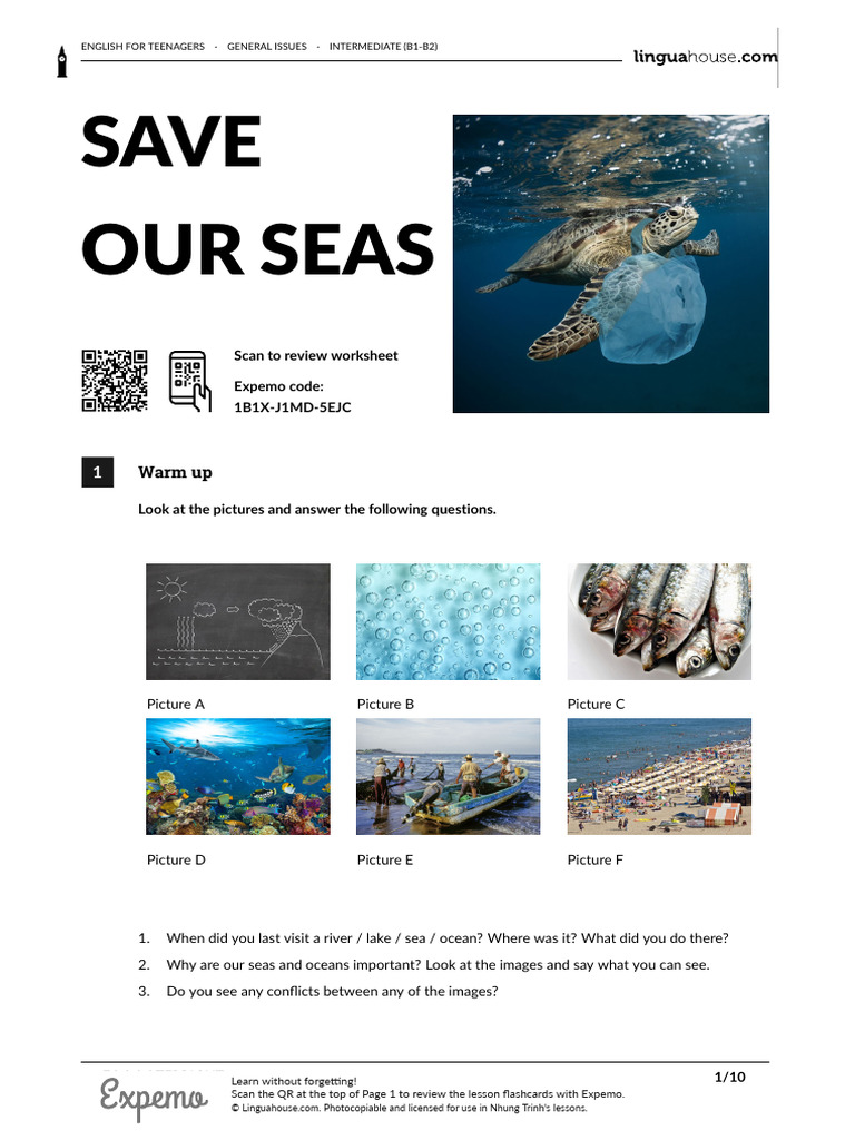 Save Our Seas: Key Environmental Issues | PDF | Oceans | Sea