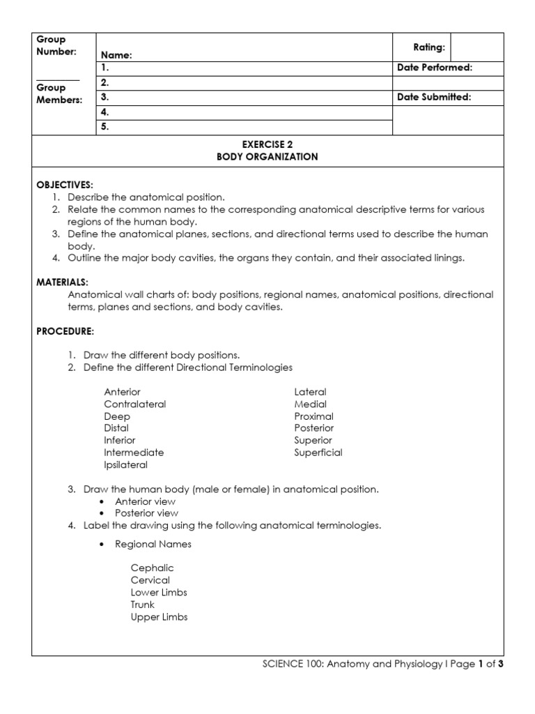 Anatomy & Physiology: Body Organization | PDF | Anatomical Terms Of ...
