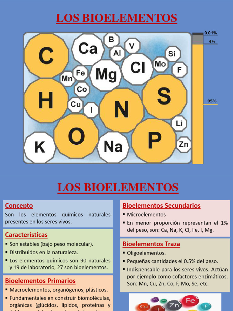 BIOELEMENTOS | PDF | Agua | Oxígeno