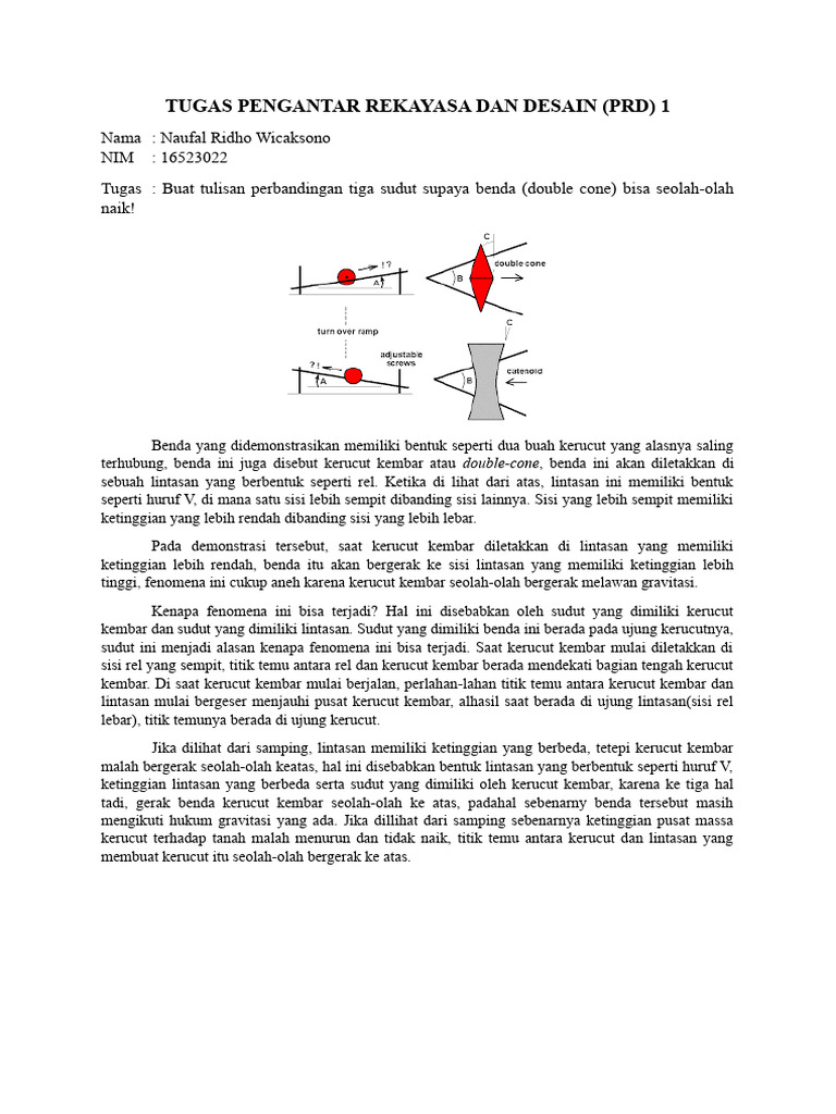 Naufal Ridho Wicaksono - Newton | PDF