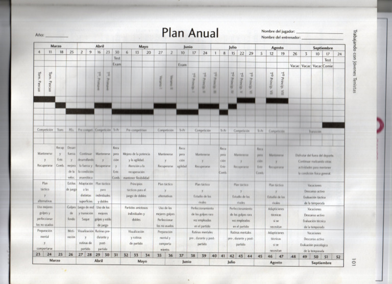 Plan Anual PDF | PDF
