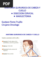Anatomía de Cuello | PDF