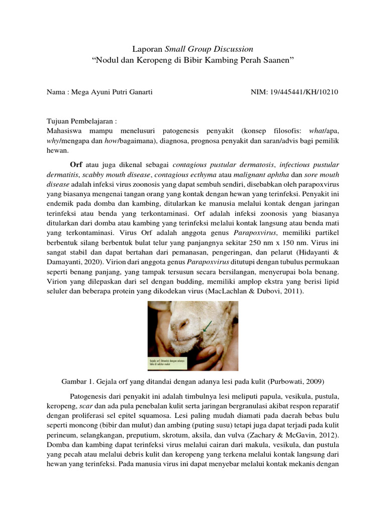 Laporan SGD 1 - 10210 - Mega Ayuni Putri Ganarti | PDF