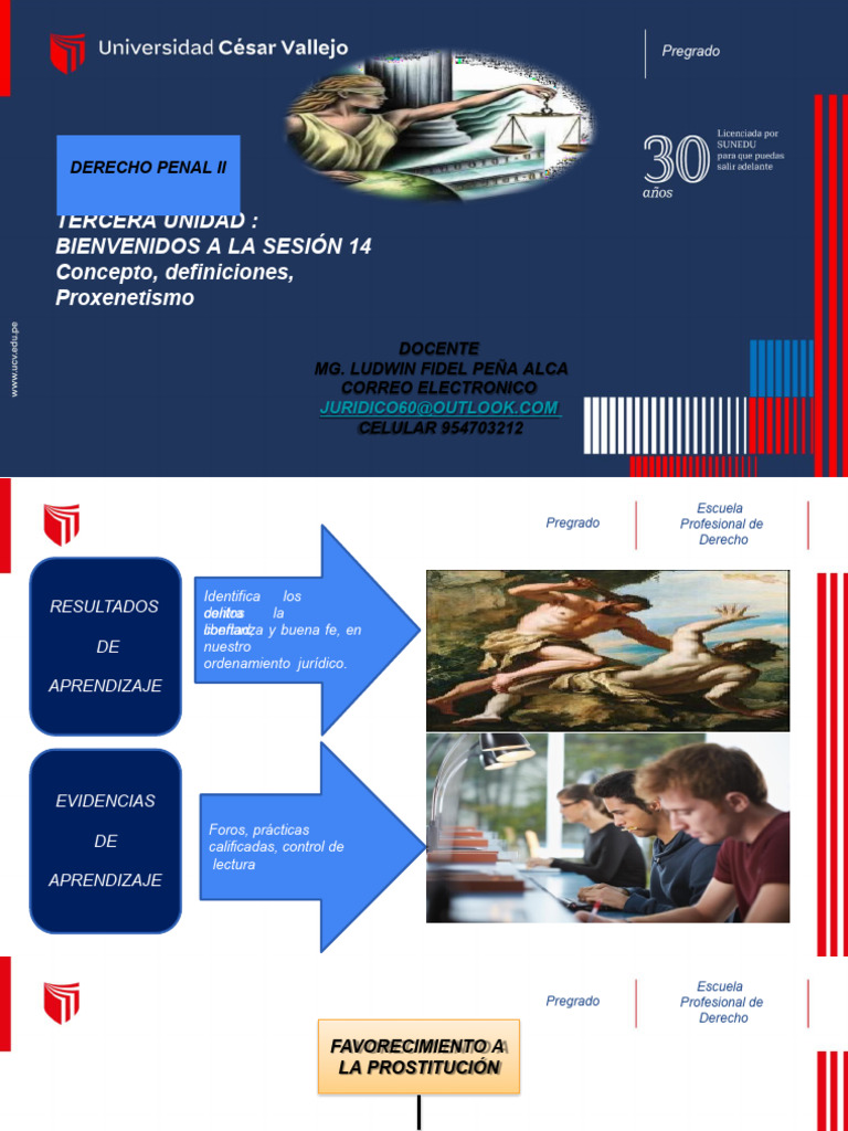 Sesión 14 DP Ii | Descargar gratis PDF | Derecho penal | Prostitución