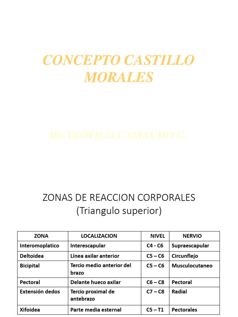 Castillo Morales Ii | PDF