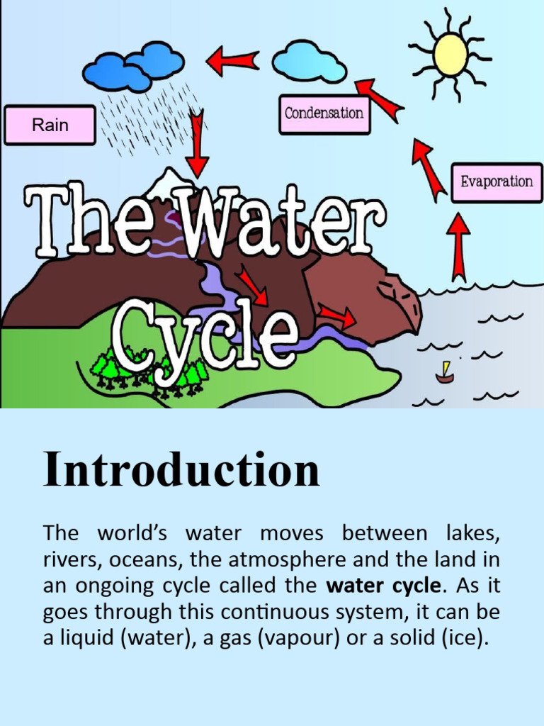 Water Cycle | PDF | Water Vapor | Evaporation