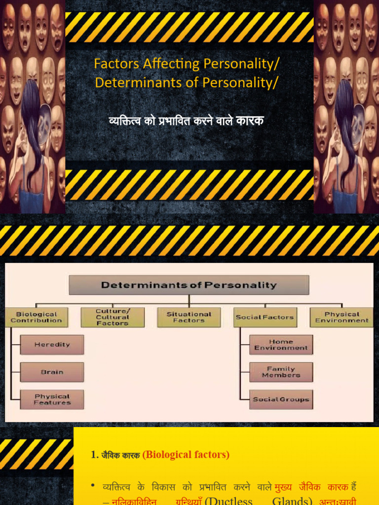 Factors Affecting Personality | PDF