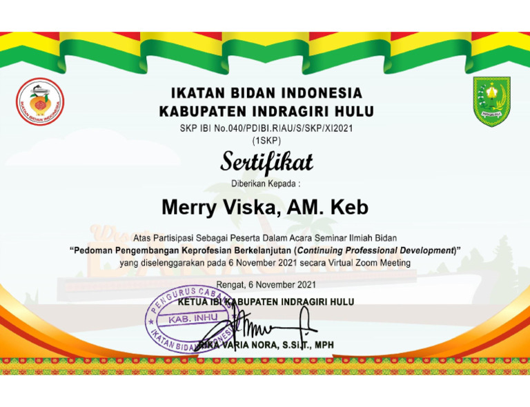 Sertifikat - NAMA - Webinar Ilmiah IBI 2021 | PDF