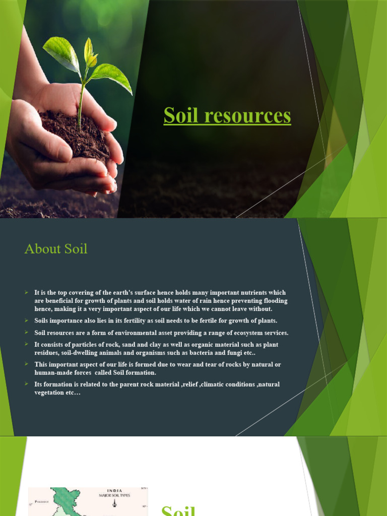 Soil Resources | PDF | Soil | Soil Fertility