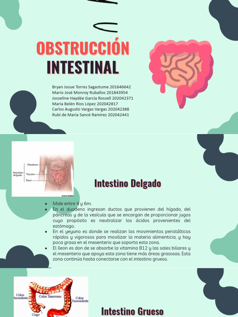 Obstrucción Intestinal: Causas y Tratamiento | PDF