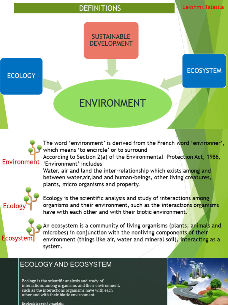Ecology vs Ecosystem Explained | PDF | Ecosystem | Ecology