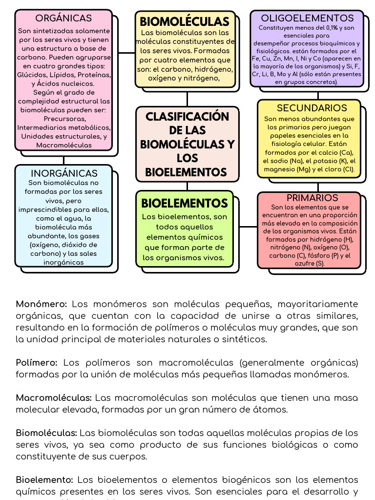 Clasificacion de Las Biomoleculas y Los Bioelementos | PDF | Biomoléculas | Organismos