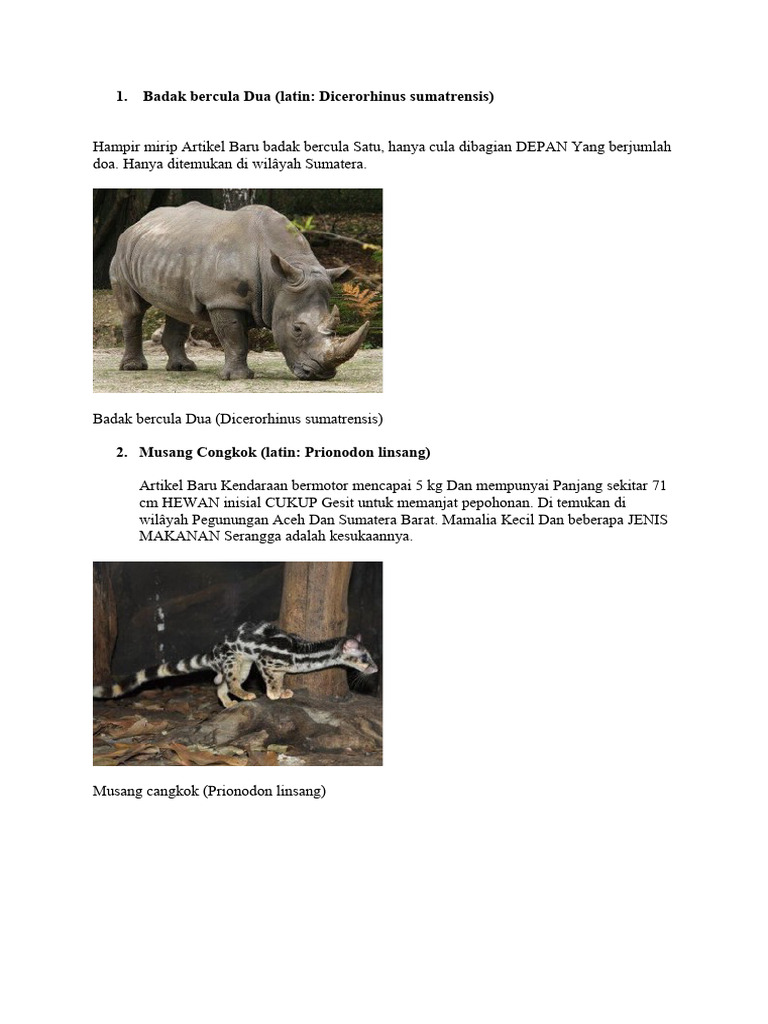 Badak Bercula Dua | PDF