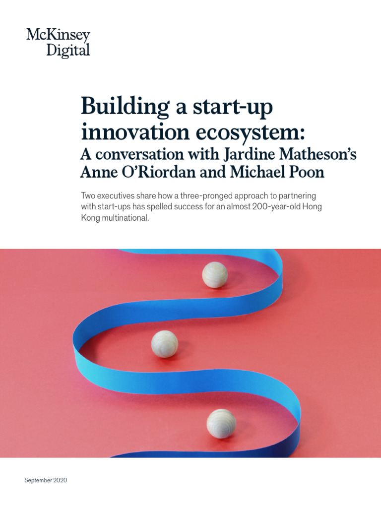 Building A Start Up Innovation Ecosystem | PDF | Startup Company ...