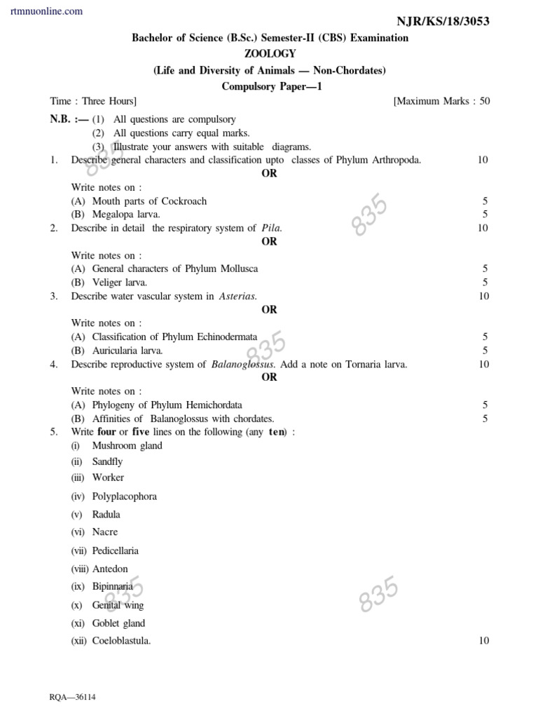 Non-Chordates Zoology Exam Notes | PDF | Organisms | Taxa