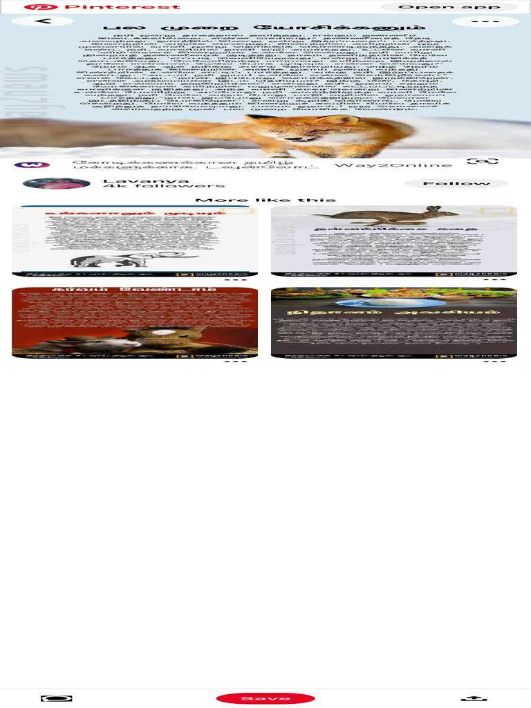 Pinterest - India | PDF