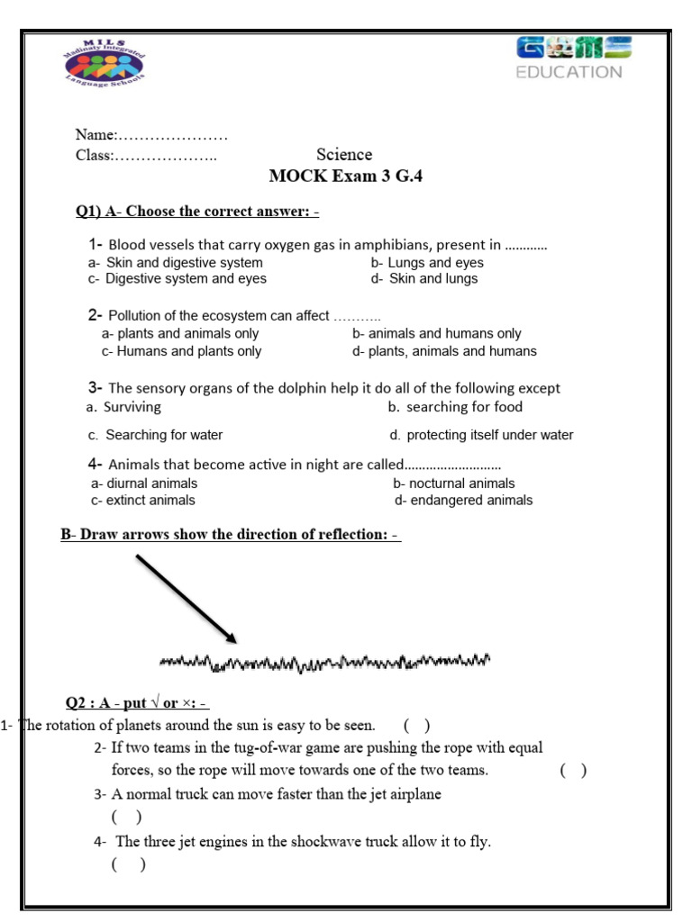 Mock Exam 3 G4 | Download Free PDF | Lung | Senses