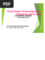 Third Week of Development: Trilaminar Germ Disc | PDF | Anatomy ...