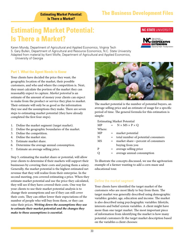 Estimating Market Potential | PDF | Market Analysis | Market (Economics)