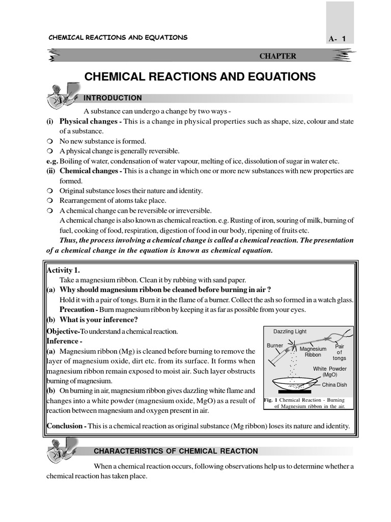 Chemical Reactions and Equations | PDF | Chemical Reactions | Magnesium
