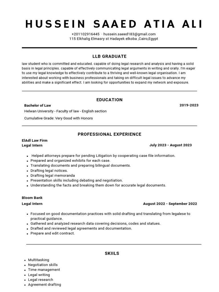 Hussein Final CV 1 | PDF