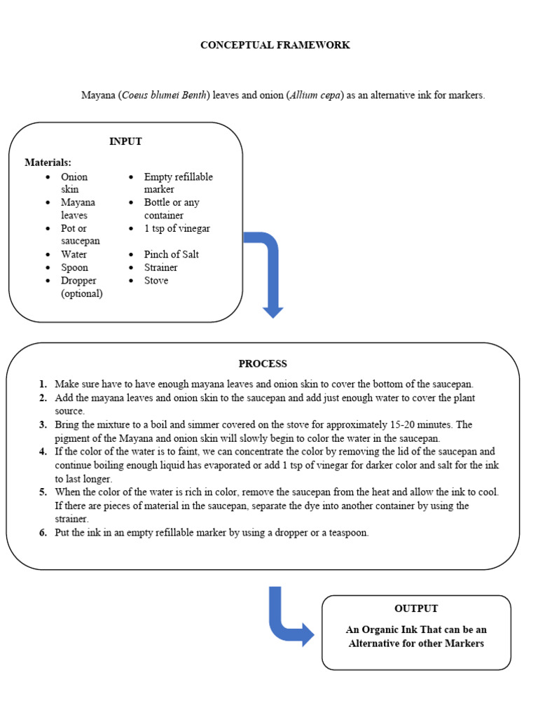 Conceptual Framework Sample | PDF