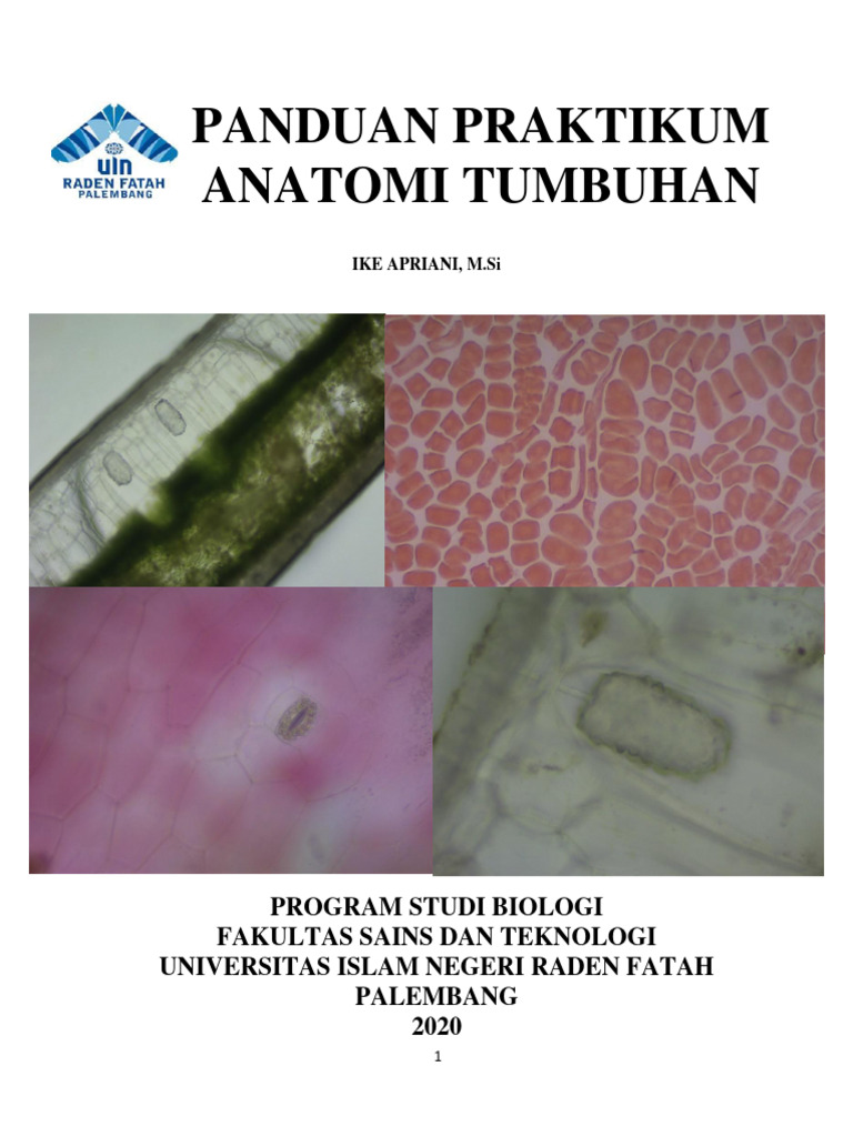 Buku Panduan Praktikum Anatomi | PDF