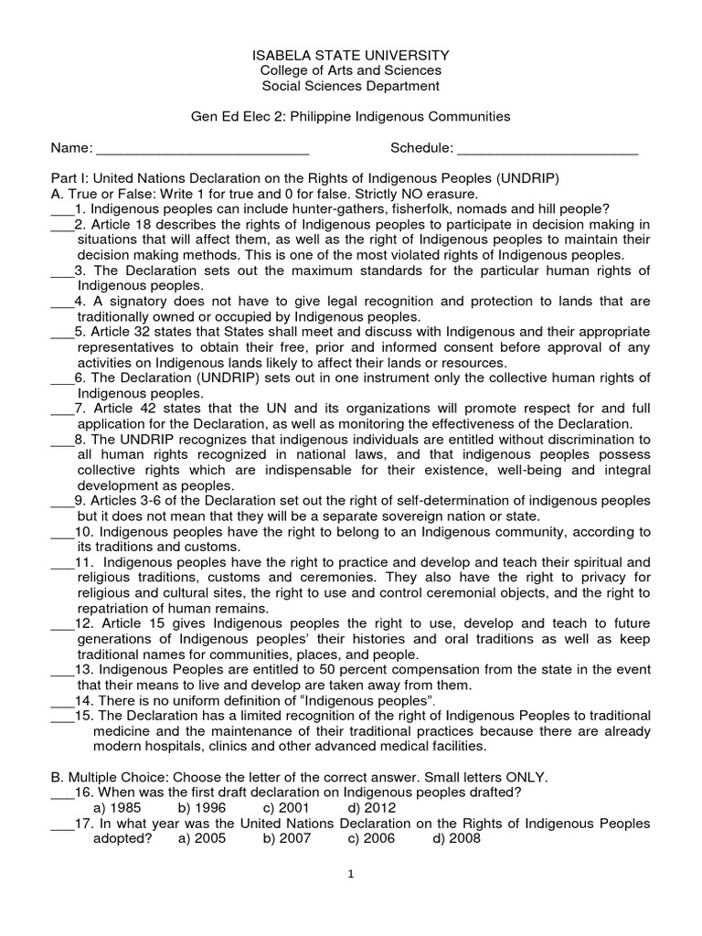 UNDRIP Overview for Indigenous Rights | PDF | Indigenous Peoples ...